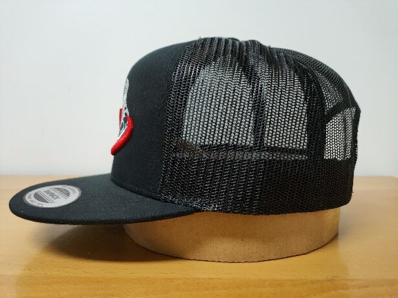 isv.ch - Innerschweizer Schwingerverband • Cap ISV